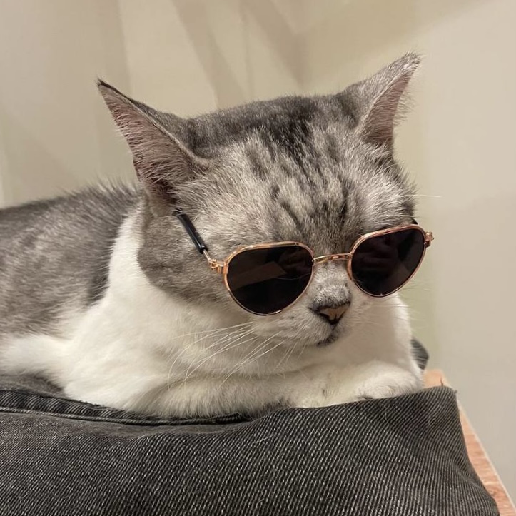 Codédex | Start your coding adventure ⋆˙