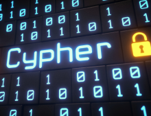 Codédex | Build a Custom Search Engine with Exa